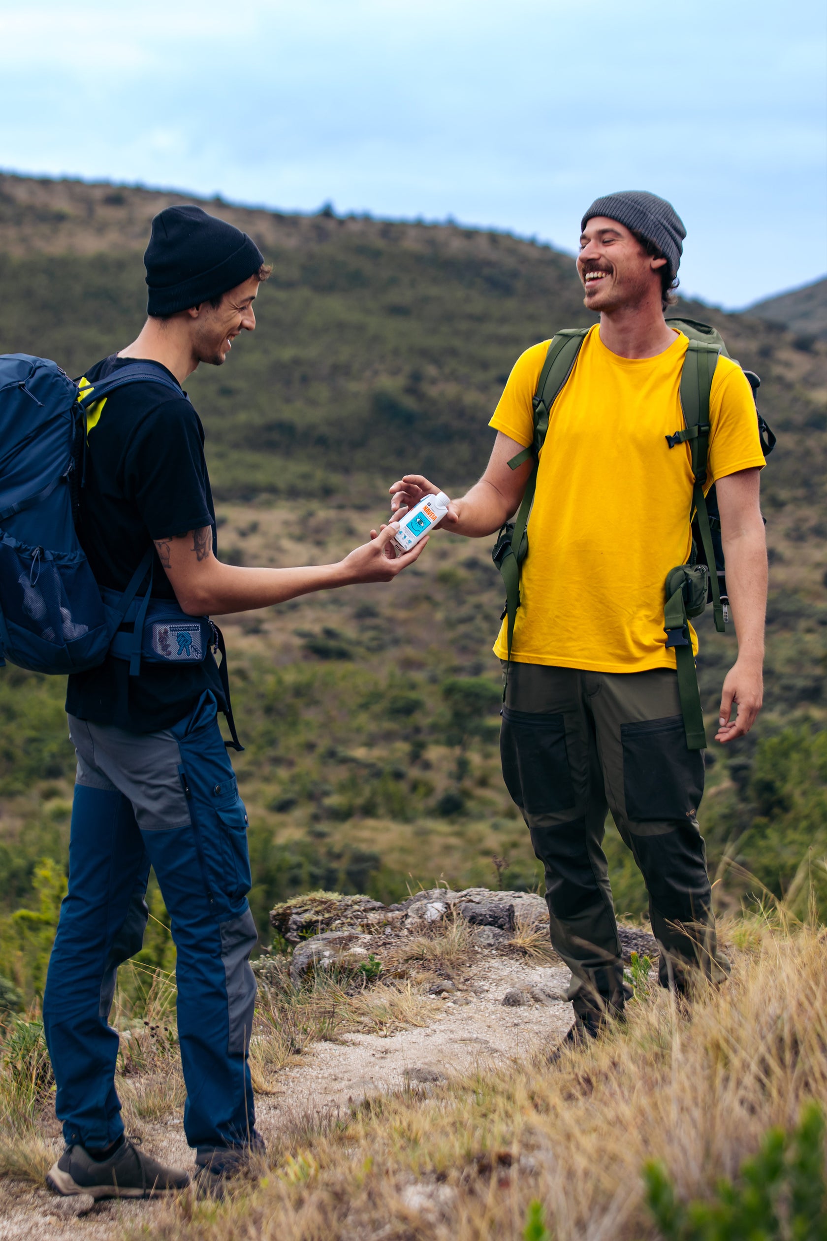 Pack 12x Naveia Original 250ml – NAVEIA