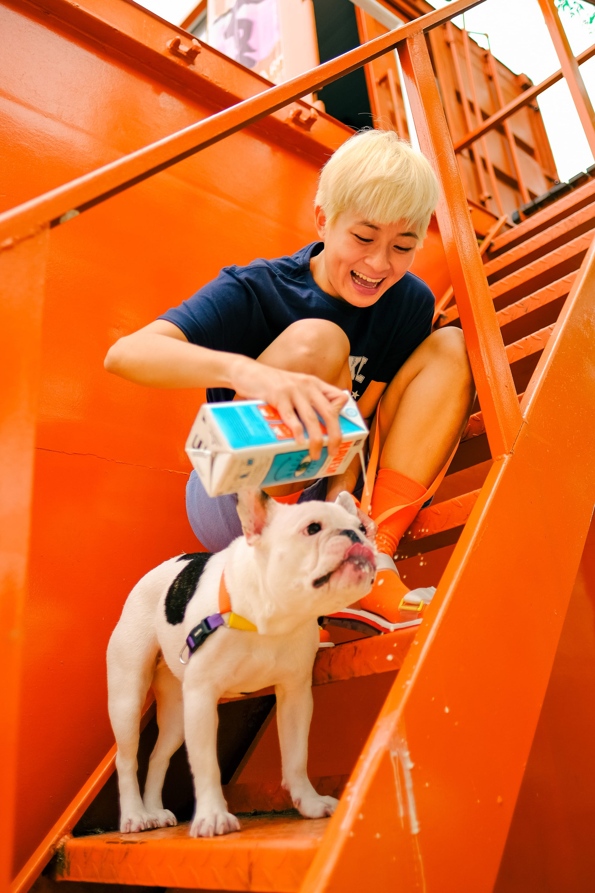 Naveia Original 1L – NAVEIA